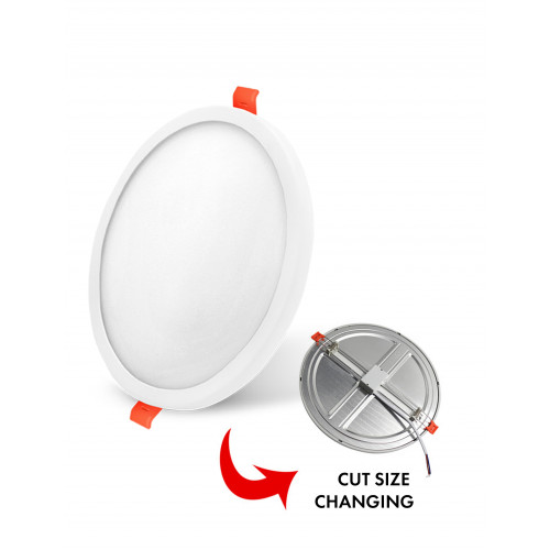 Lambario | Brighter moments