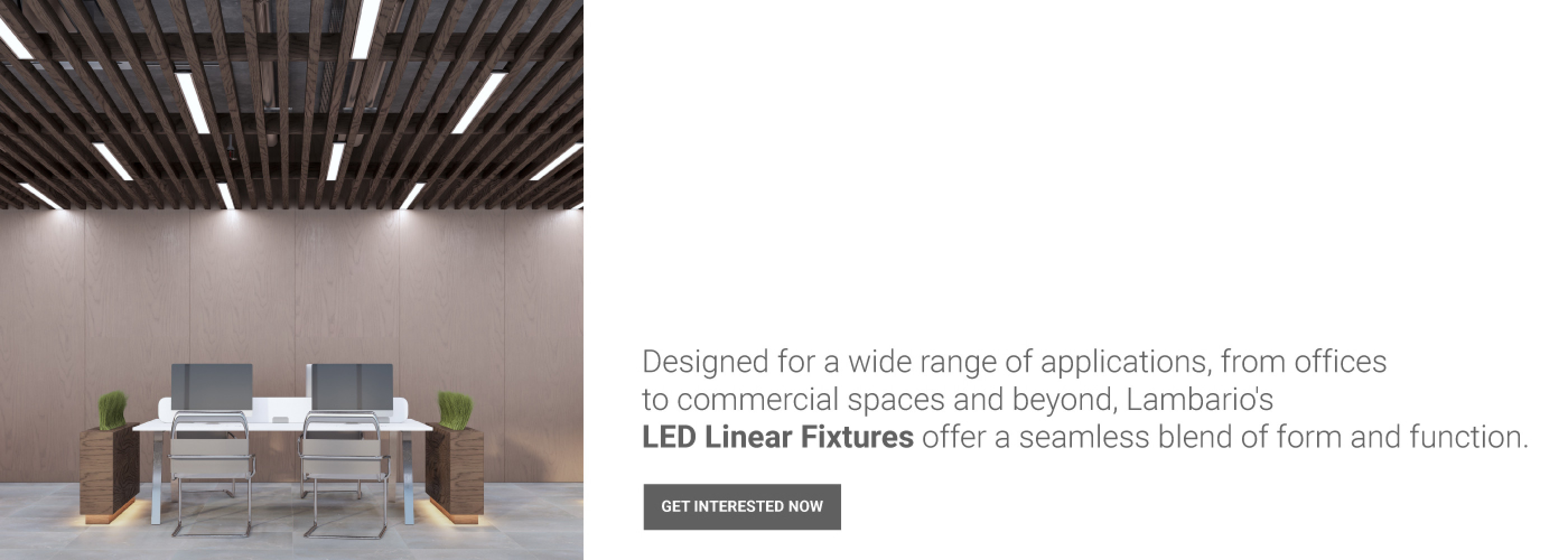 Lambario - Brighter moments