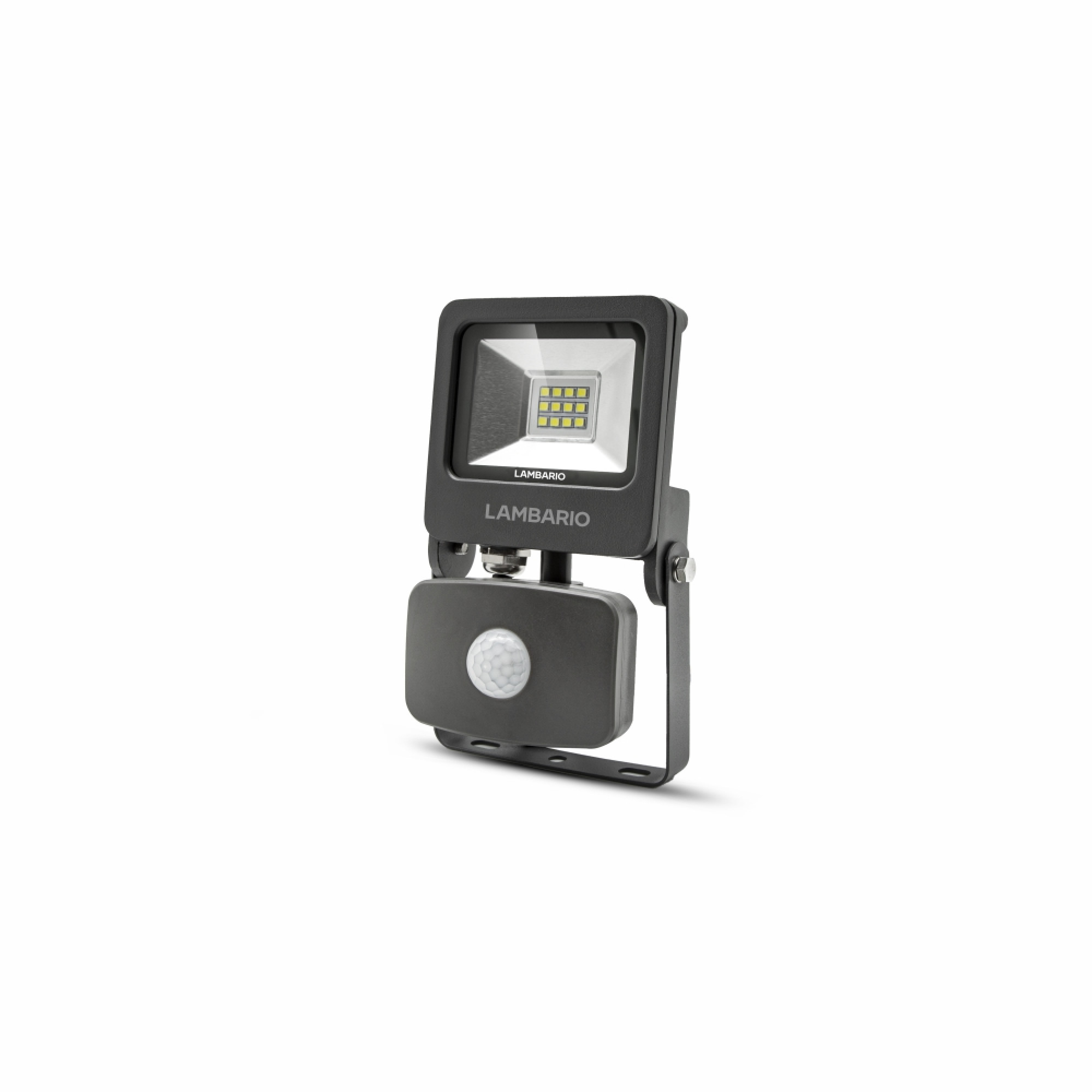 Lambario - Brighter moments